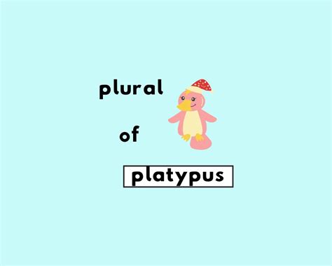 How To Use Platypus Plural Platypi Platypuses Grammarflex