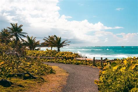 Piñones Puerto Rico 2024 Guide All You Need To Know