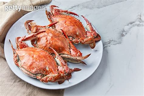 꽃게 제철음식 해산물 갑각류 신선식품 프레시 컨셉 음식재료 게 연갑류 게요리 해산물 꽃게찜 찜요리