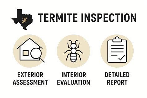 Termite Inspection Process 2025 Guide For Texas Homeowners Pestico Pest Control Services