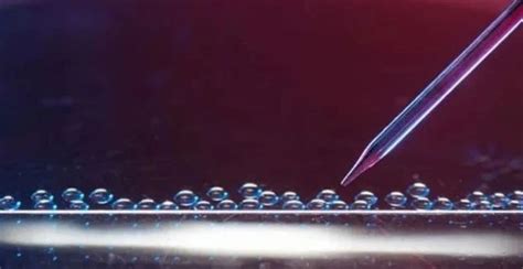 《cell Research》2022年度杰出论文奖出炉，兰雨、汤富酬、周鹏辉、宋春青等论文获奖腾讯新闻