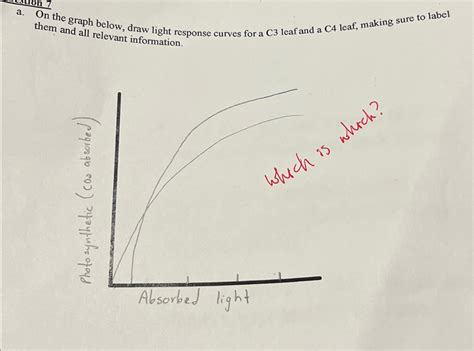 Solved A ﻿on The Graph Below Draw Light Response Curves