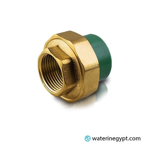 لاكور تجميع بسن خارجي ذكر 1 بوصة استانلس ستيل