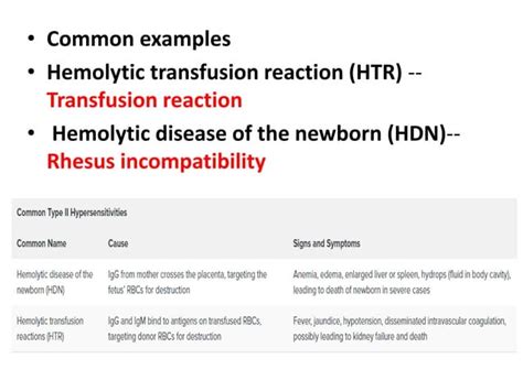 Type Ii Hypersensitivity Antibody Mediated Cytotoxic Hypersensitivity Pdf