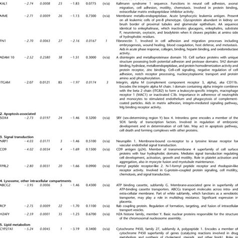 Human Alveolar Macrophage Genes Down Regulated By Infection With H37rv