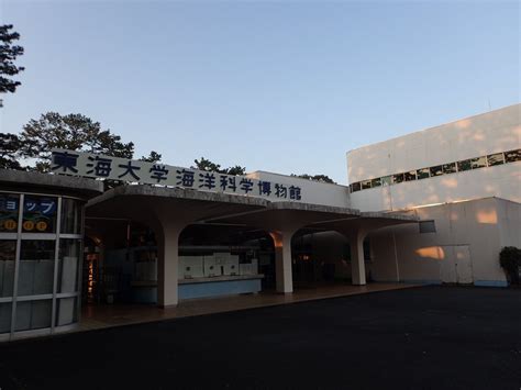 東海大学海洋科学博物館･自然史博物館さんの人気ツイート（新しい順） ついふぁん！