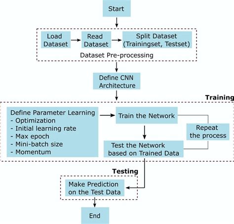 The Training And Fine Tuning Process Of The Pre Trained Network Download Scientific Diagram The Training And Fine Tuning Process Of The Pre Trained Network Download Scientific Diagram