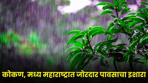 Rain Forecast । कोकण मध्य महाराष्ट्रात जोरदार पावसाचा इशारा । Heavy