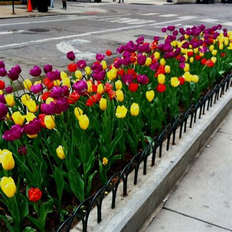 🌸🌺🌻 Flower Bed Decor Ideas That Will Make Your Garden A Peaceful
