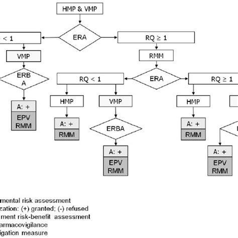 Schematic Flow Chart Showing The Options To Apply Risk Mitigation Download Scientific Diagram
