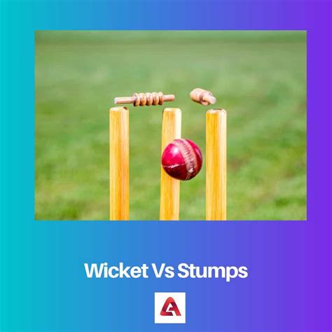 Tableta Vs Píldora Diferencia Y Comparación