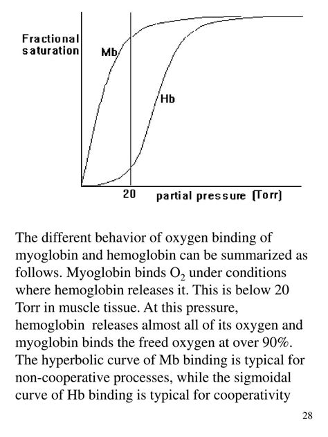 PPT Myoglobin PowerPoint Presentation Free Download ID 6660949