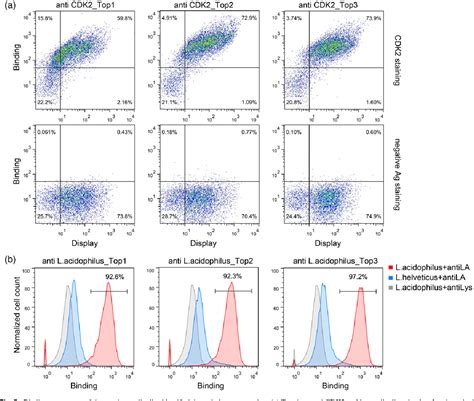 Figure 2 From From Deep Sequencing To Actual Clones Semantic Scholar