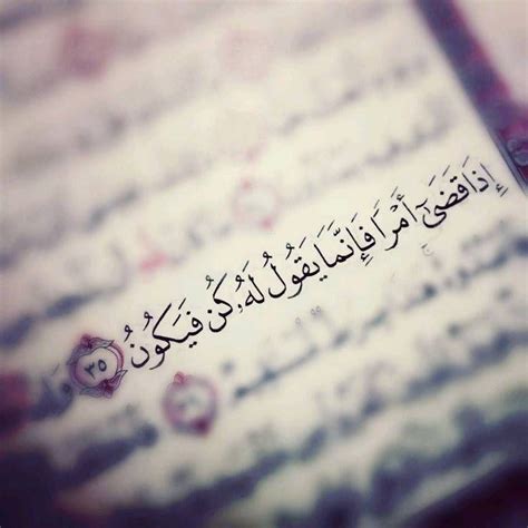 Ibrahim Ragab Posted On Linkedin