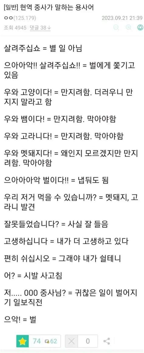 군대 현역만 공감하는 용사어 에누리 쇼핑지식 자유게시판