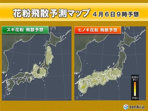 花粉情報 今週末から再び「大量飛散」 関東以西はヒノキ 東北はスギ 黄砂にも注意気象予報士 福冨 里香 2023年04月05日 日本