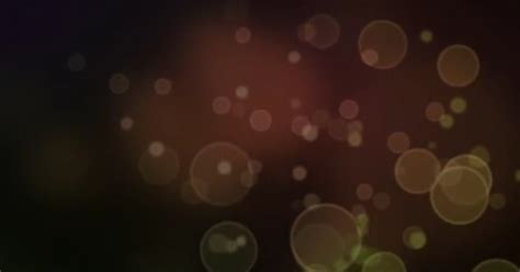 Flash Swf Animation Collection Learn It Step By Step
