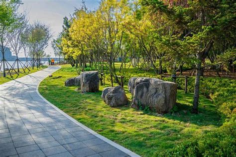 青岛市李沧区：亲水河道再添新址 市民踏青好去处生态重庆路两岸