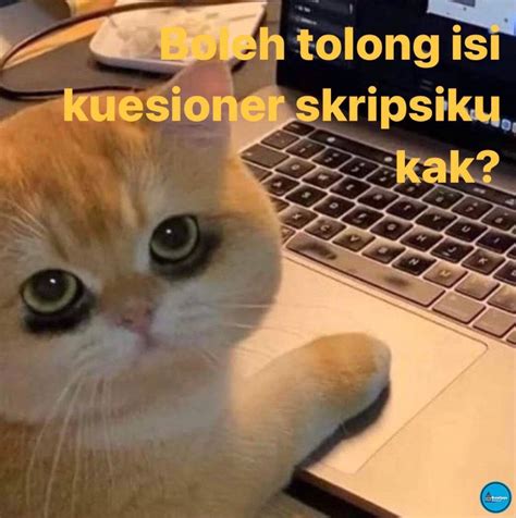 COLLE On Twitter Cm Hallo Kakk Ada Yang Bisa Bantuin Ngisi