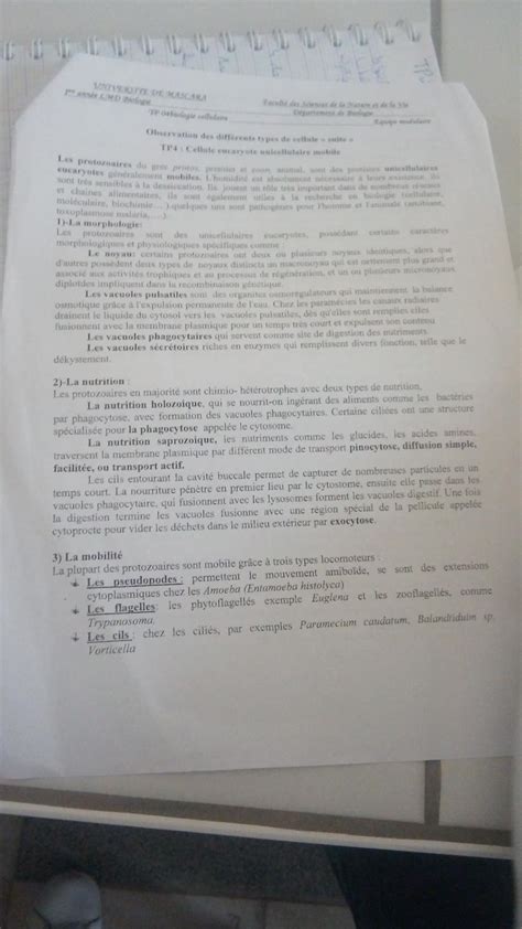 Compte Rendu De Tp N°4 De Biologie Biologie De Mascara