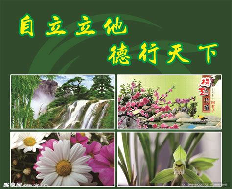 国珍形象设计图广告设计广告设计设计图库昵图网