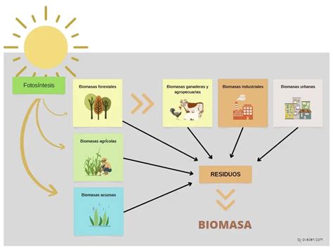 Biomasa Energía Renovable Y Sus Fuentes Ori Alnitak