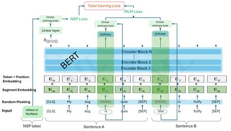 BERT Explained A Simple Guide ML Digest