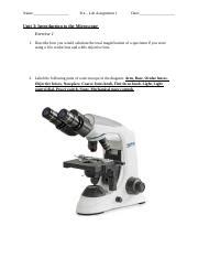 Mastering Microscopes And Cell Functions Pre Lab Guide Course Hero