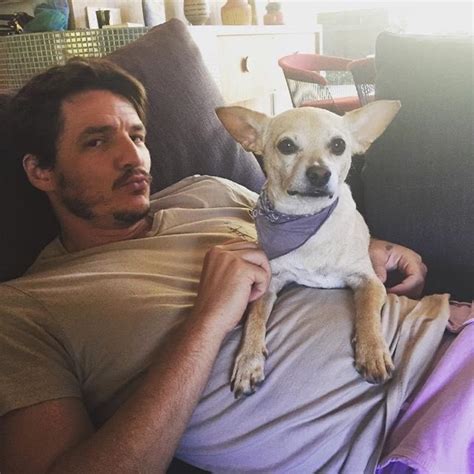 Brown Eyes Part Of Your Camera Roll If Pedro Pascal Was