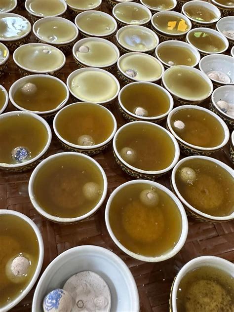 ร่วมหล่อสมเด็จองค์ปฐม รับ หลวงปู่เดินหน อิเกสาโร ไปบูชา หน้า 4 พลังจิต