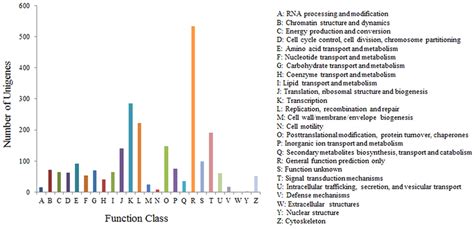 Histogram Presentation Of Clusters Of Orthologous Groups Cog
