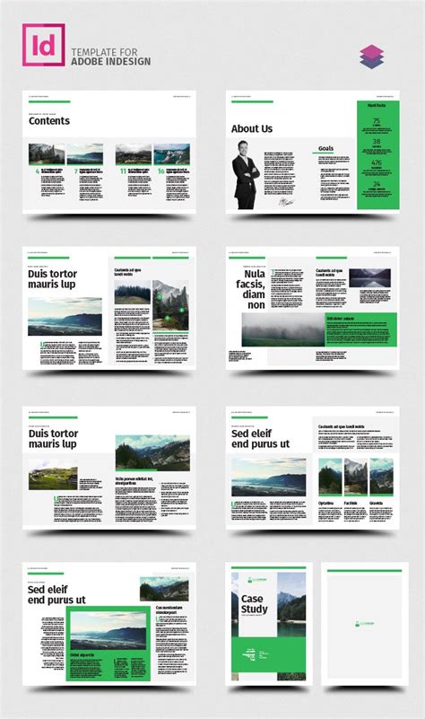 Case Study Template StockInDesign