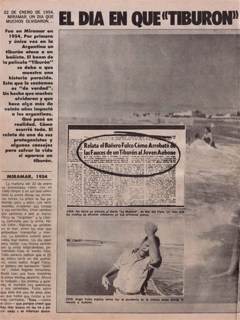 La Verdadera Historia Del Ataque De Un Tiburón En Miramar Un Dolor De