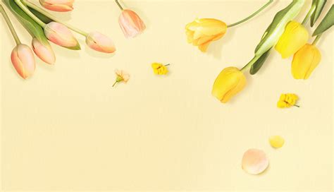 파라다이스 그룹 4월 블로그 이벤트 5회차 당첨자 발표