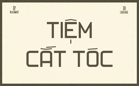 [tải Về] Bộ Font Chữ Serif Việt Hóa Svn Georgia 4 Font Font đẹp Cho Thiết Kế Fontdep