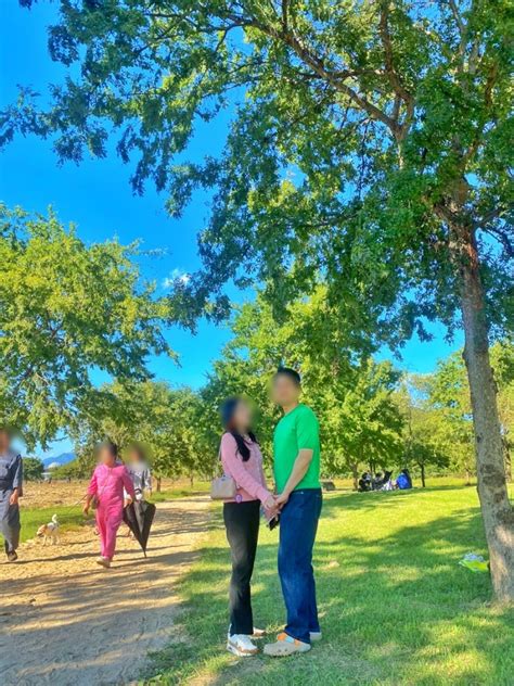 경기도 여주 가볼만한곳 당남리섬 핑크뮬리 코스모스 명소 네이버 블로그