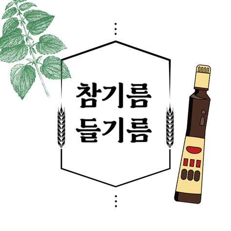 참기름 들기름 차이 보관법 알아보자 겉핥기상식