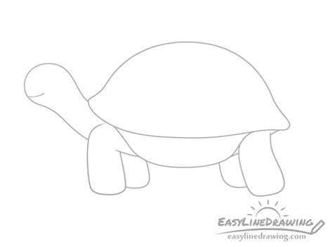 How To Draw A Tortoise Step By Step EasyLineDrawing