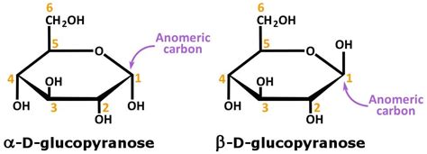 Difference Between Alpha And Beta Glucose Definition