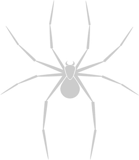 Spider 36633925 Vector Art At Vecteezy