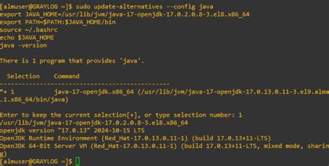 Installer Graylog Avec Opensearch Sur Debian Almalinux Pass