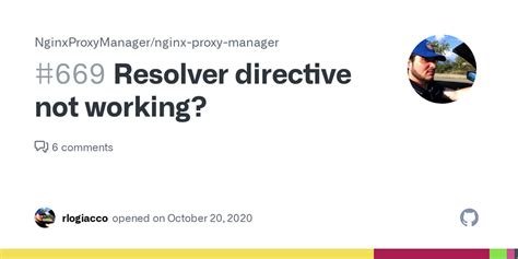 Resolver Directive Not Working · Issue 669 · Nginxproxymanagernginx