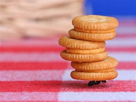 Peduli Sahabat Ssa Same Sex Attraction Di Indonesia Pptx