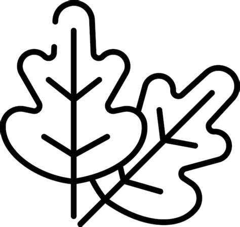 Premium Vector Oak Leafsolid Outline Vector Illustration