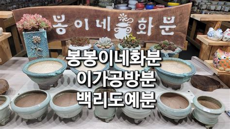 4월2일 봉봉이네화분 수제다육화분백리도예~이가공방분♡내일6시부터라이브시작 Youtube