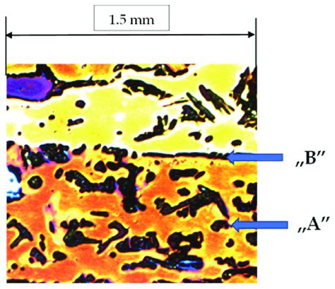 Two Types Of Degenerated Eutectic In The Resolidified Initial Mushy
