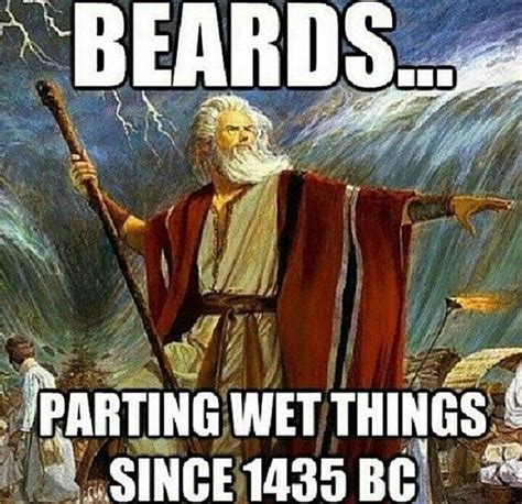 Top 60 Best Funny Beard Memes For Facial Hair Lovers Artofit