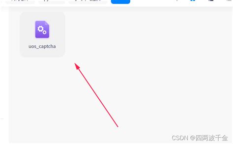 Ddddocr打包可执行文件，uos系统；ddddocr下commononnx文件和commonoldonnx是什么 Csdn博客