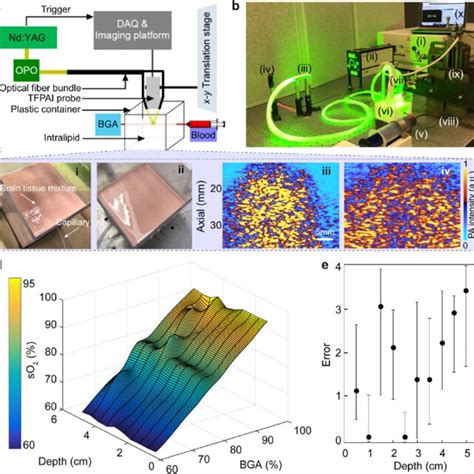 Oxygen Saturation Measurement In Vitro A Schematic Of The Oxygen