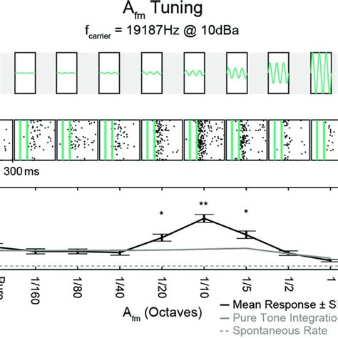 Auditory Cortex Receptive Field Examples A Pure Tone Tuning Profile Download Scientific